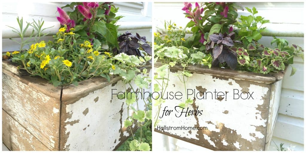 Farmhouse Planter Box for Herbs – Hallstrom Home