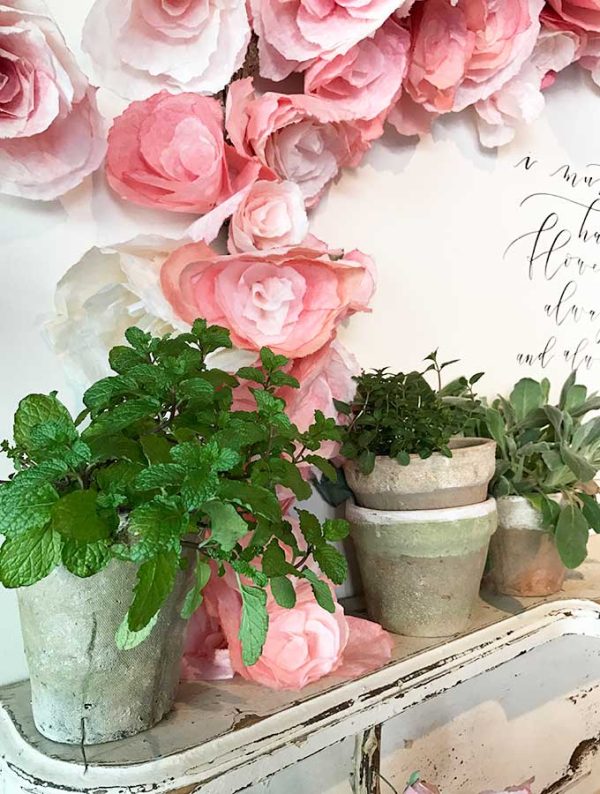 DIY Tissue Paper Flowers Tutorial – Hallstrom Home