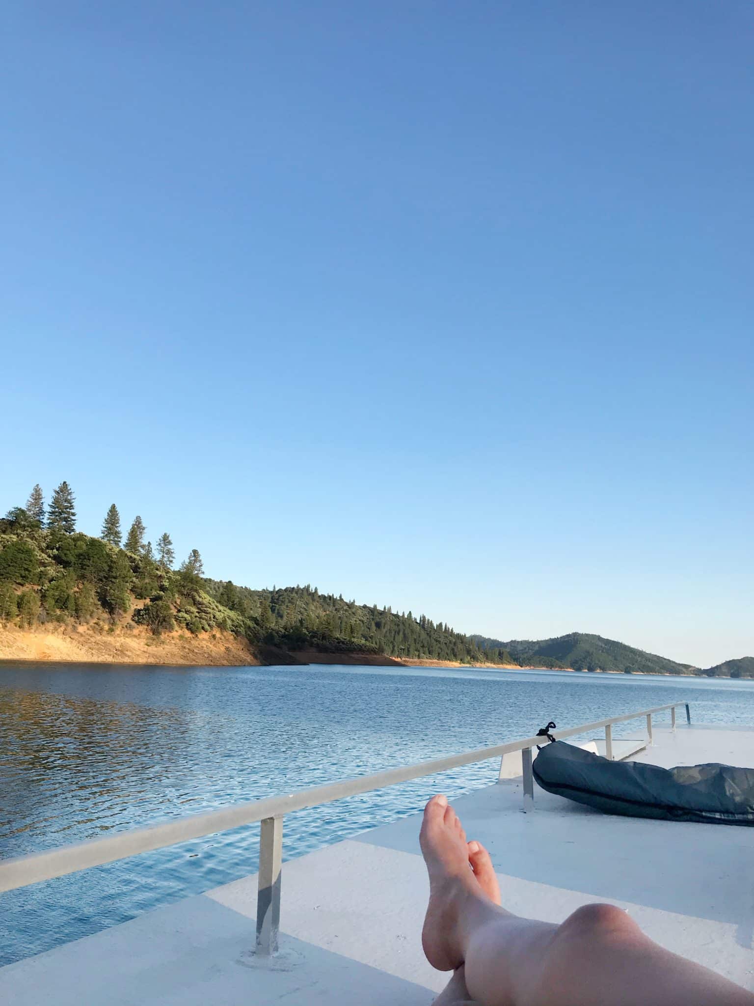 Homemade Smoothie Recipe – Hallstrom Home