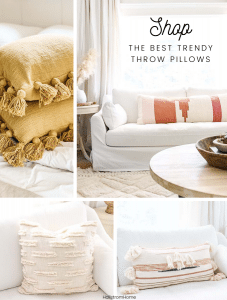 Trending Pillows for Home Decor – Hallstrom Home