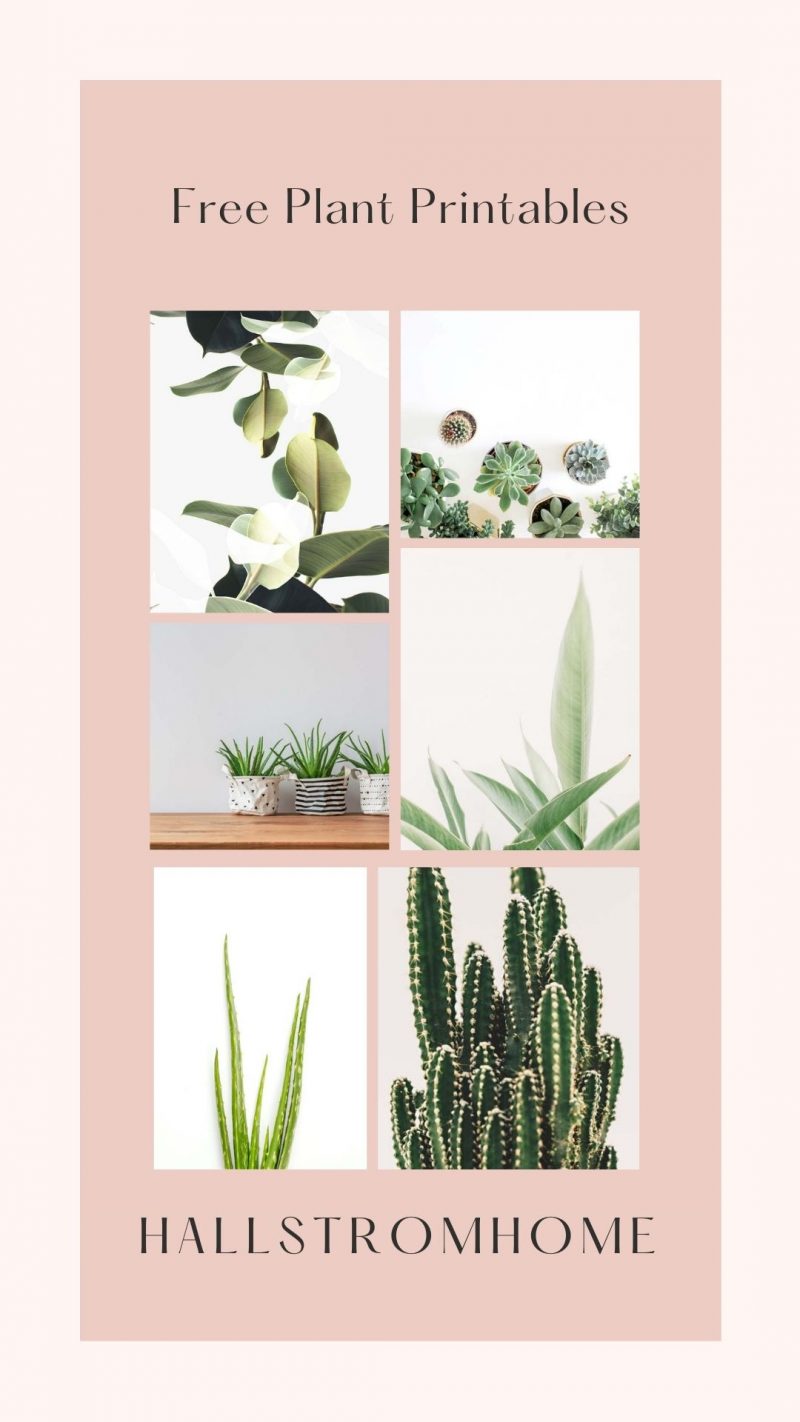Free Plant Printables – Hallstrom Home