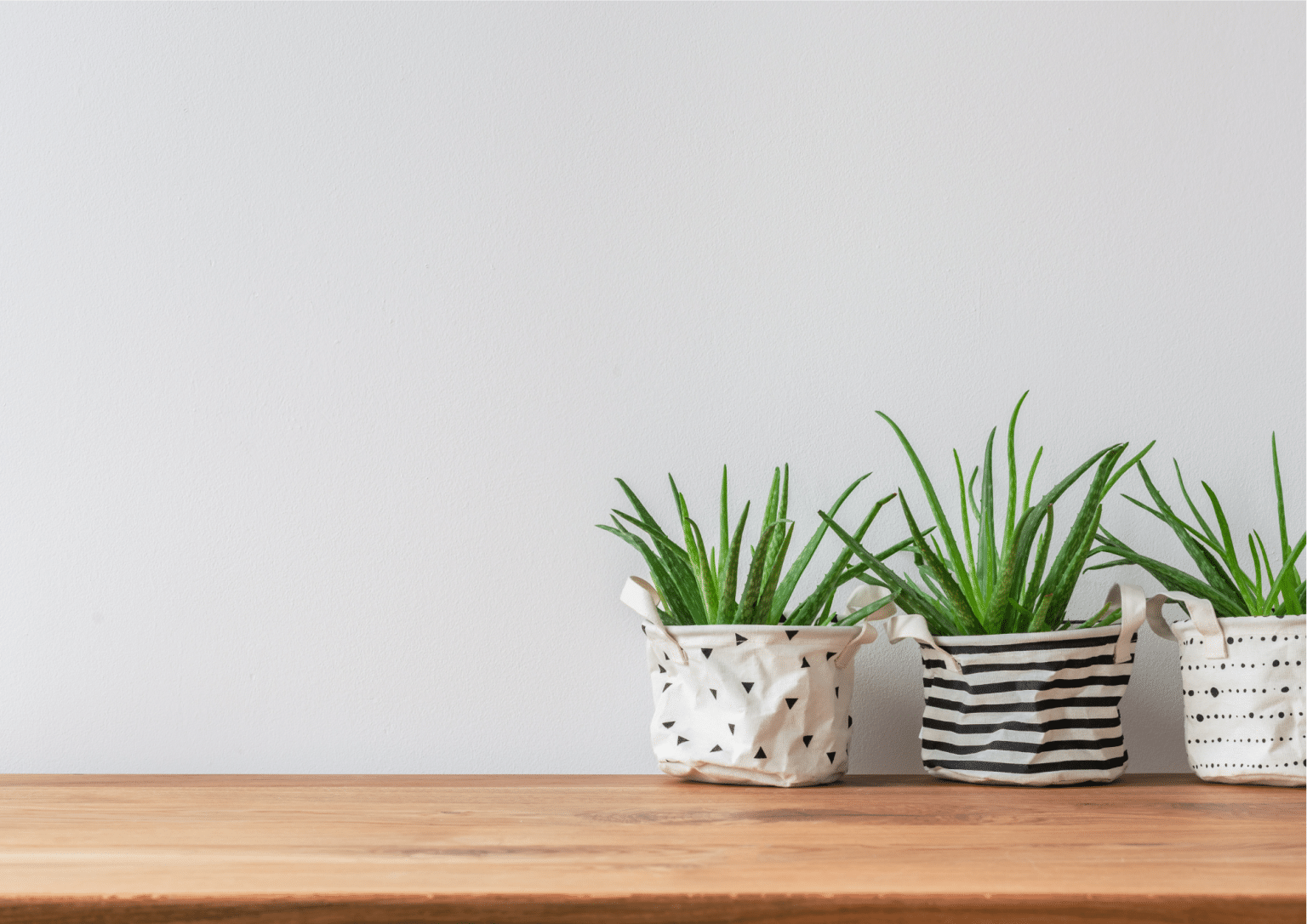 Free Plant Printables – Hallstrom Home